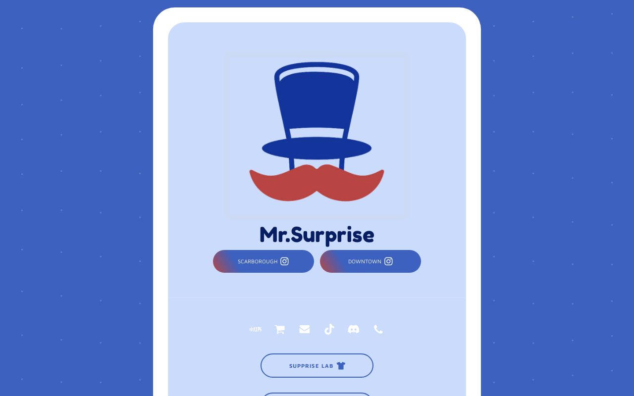Mr.surprise thewell